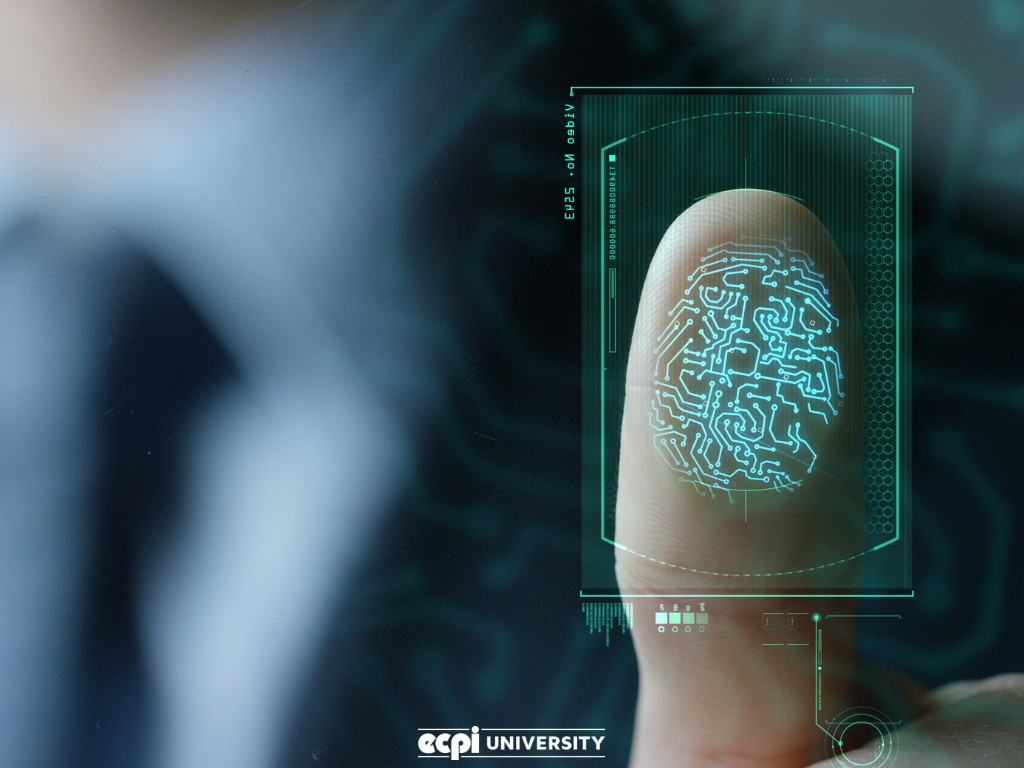 Why is Digital Security Important to Study? Why is Digital Security Important to Study?